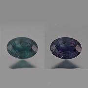 Color Change – Pala International